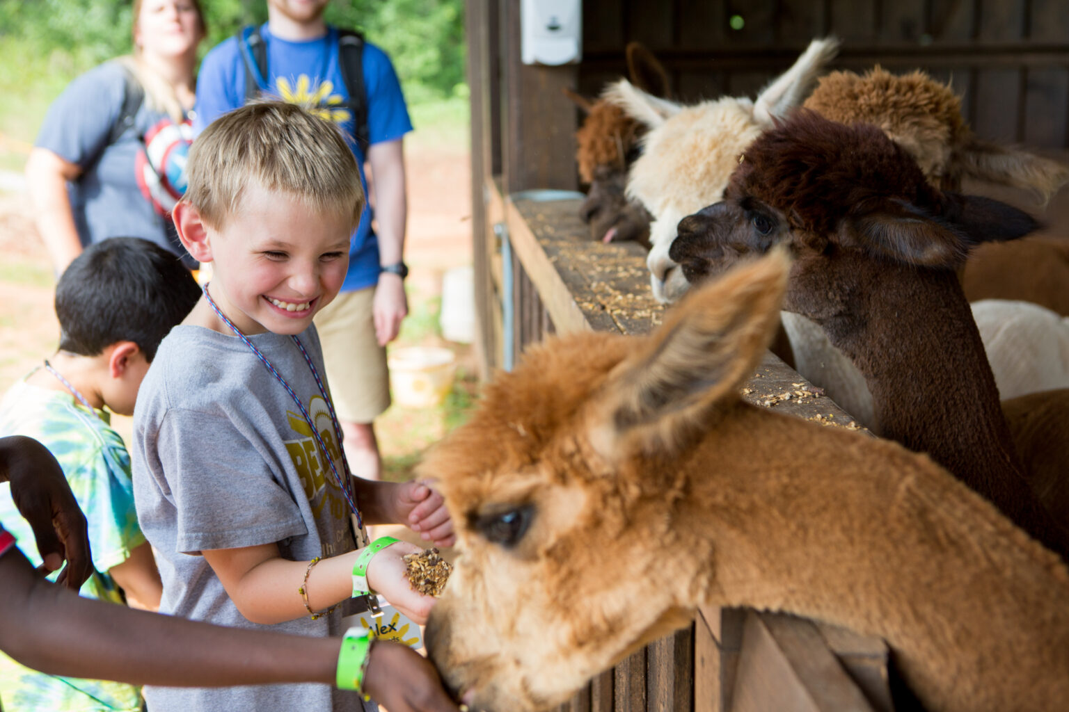 Donate - Camp Twin Lakes